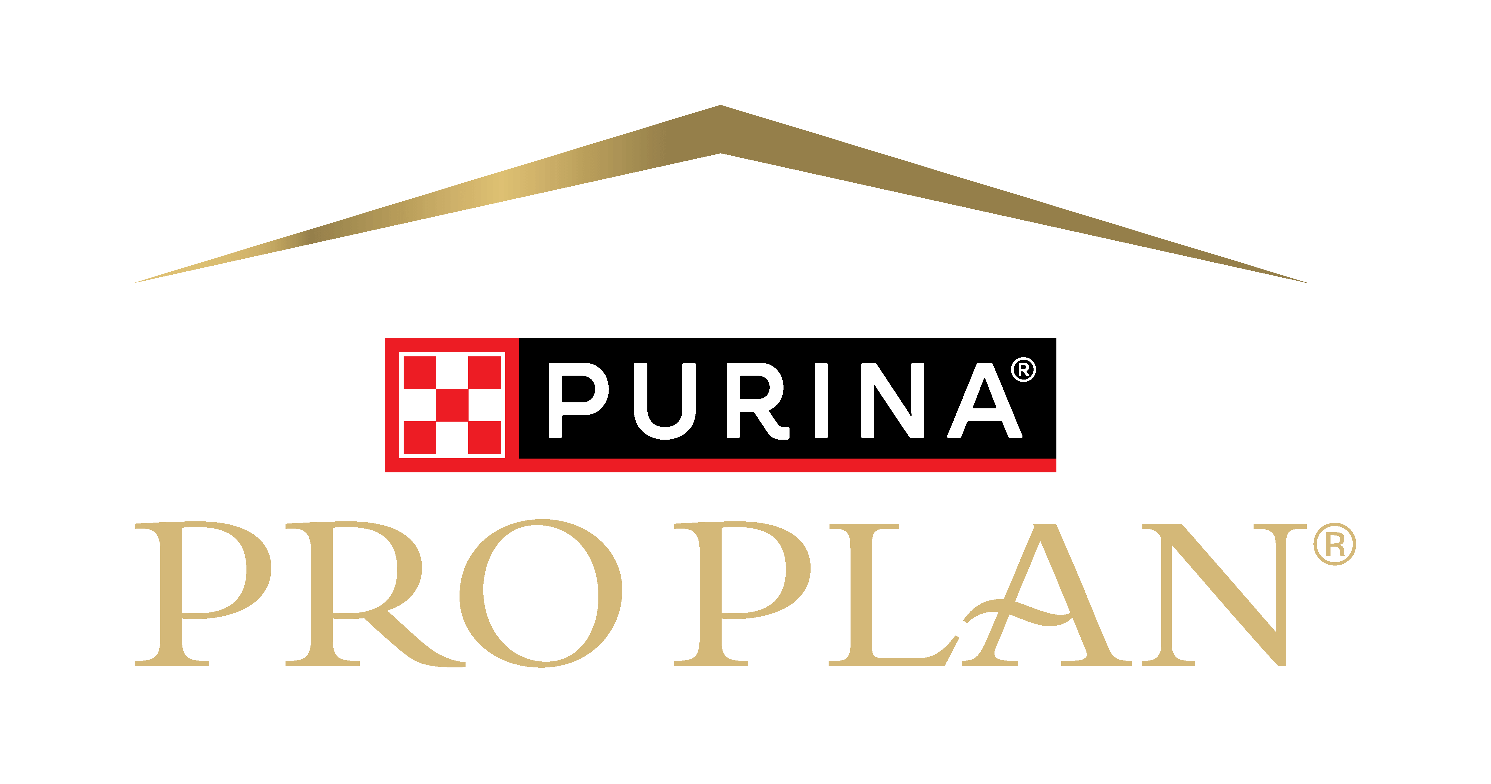 Je okusovanie u šteniat problém? | Purina